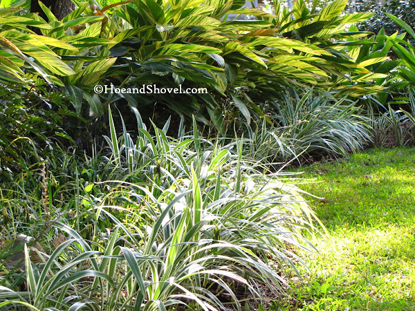 Aztec Grass Border